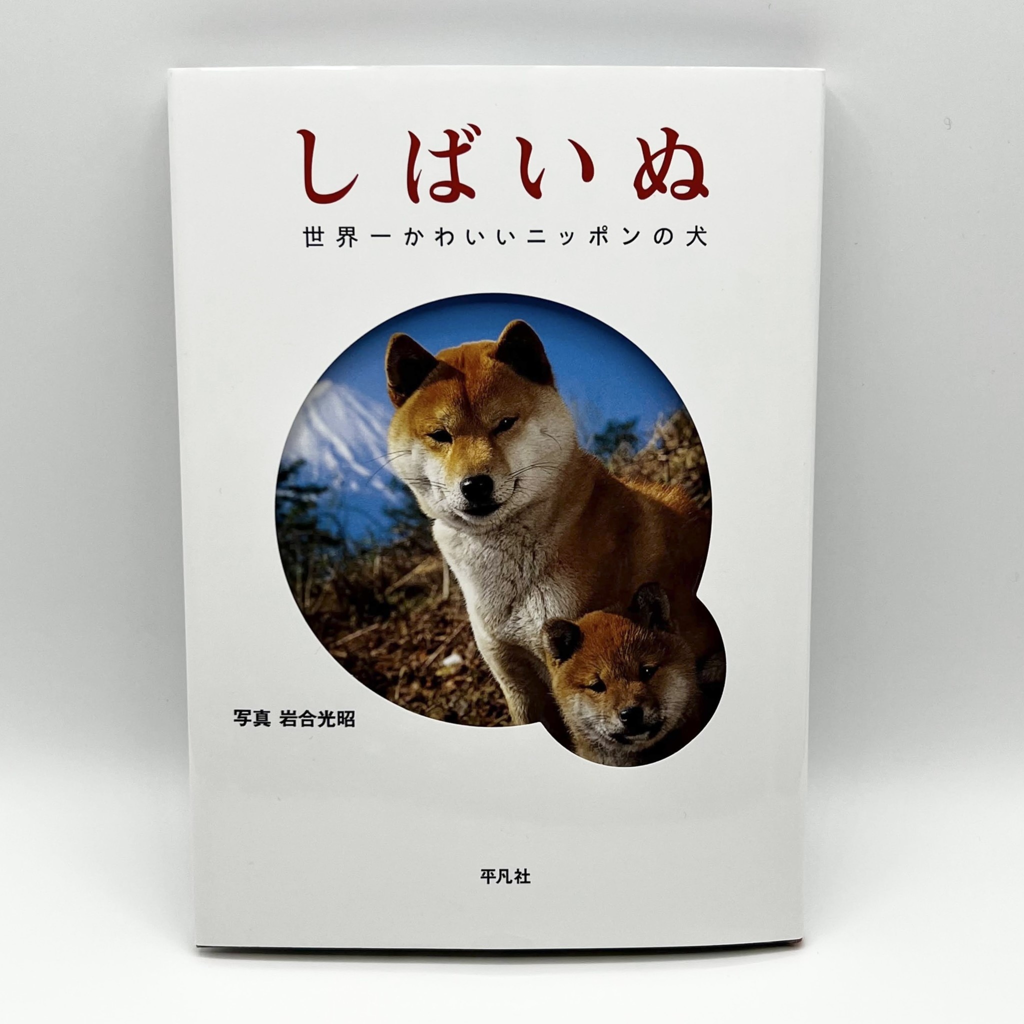 SHIBA INU - JPT EUROPE LTD T/A JP BOOKS
