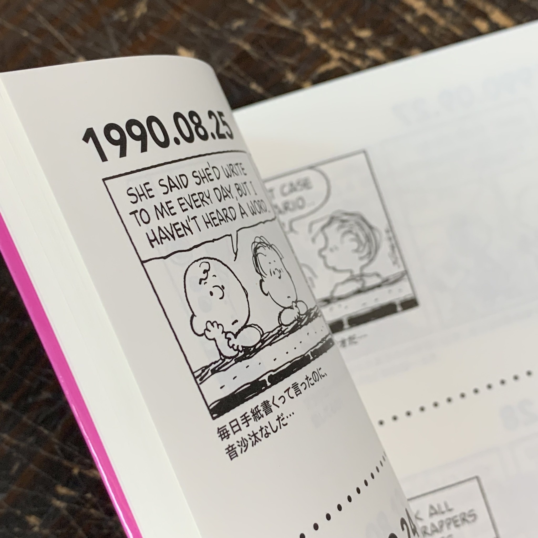 [BILINGUAL] SNOOPY COMIC SELECTION 90S - JPT EUROPE LTD T/A JP BOOKS