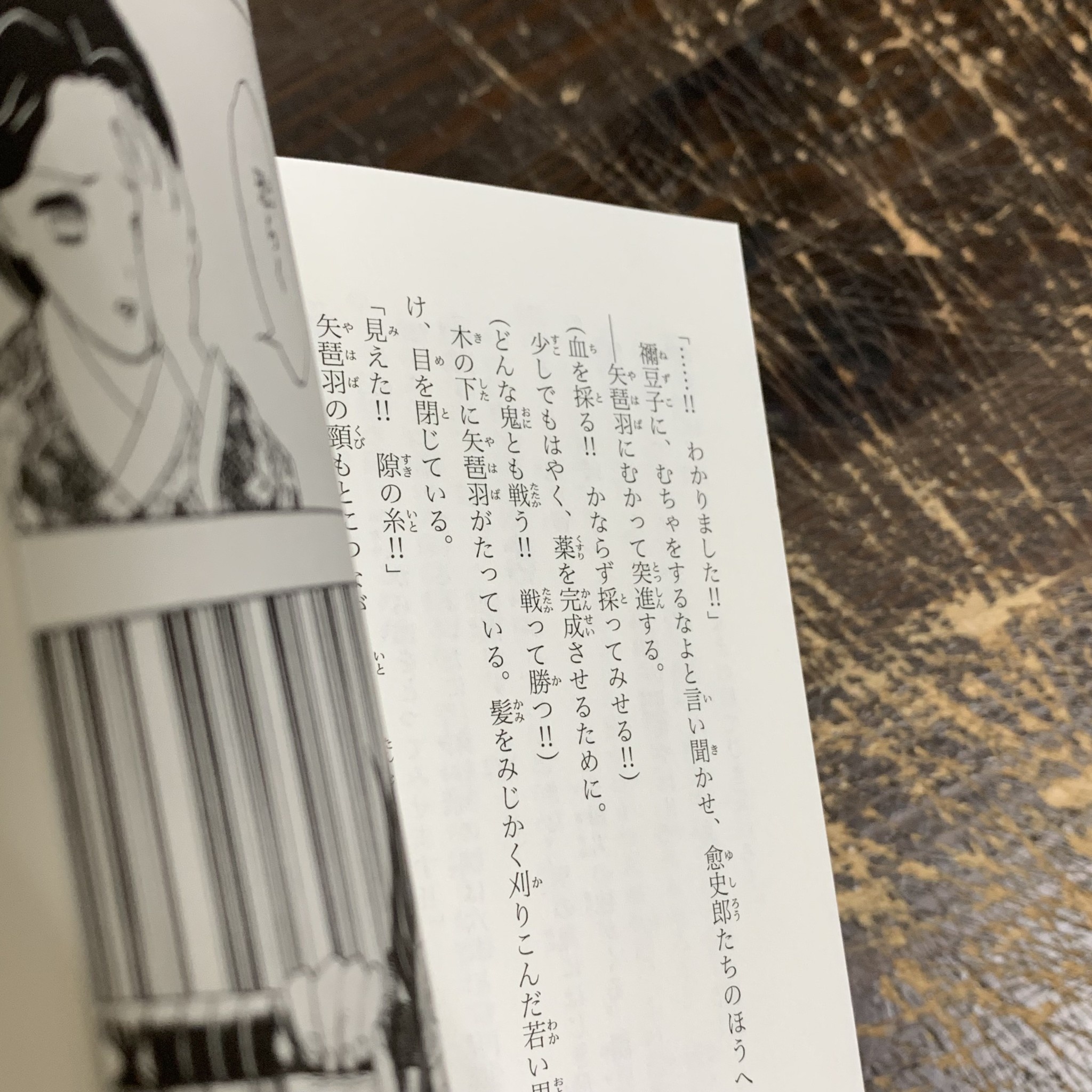 DEMON SLAYER NOVEL (Japanese) - JPT EUROPE LTD T/A JP BOOKS