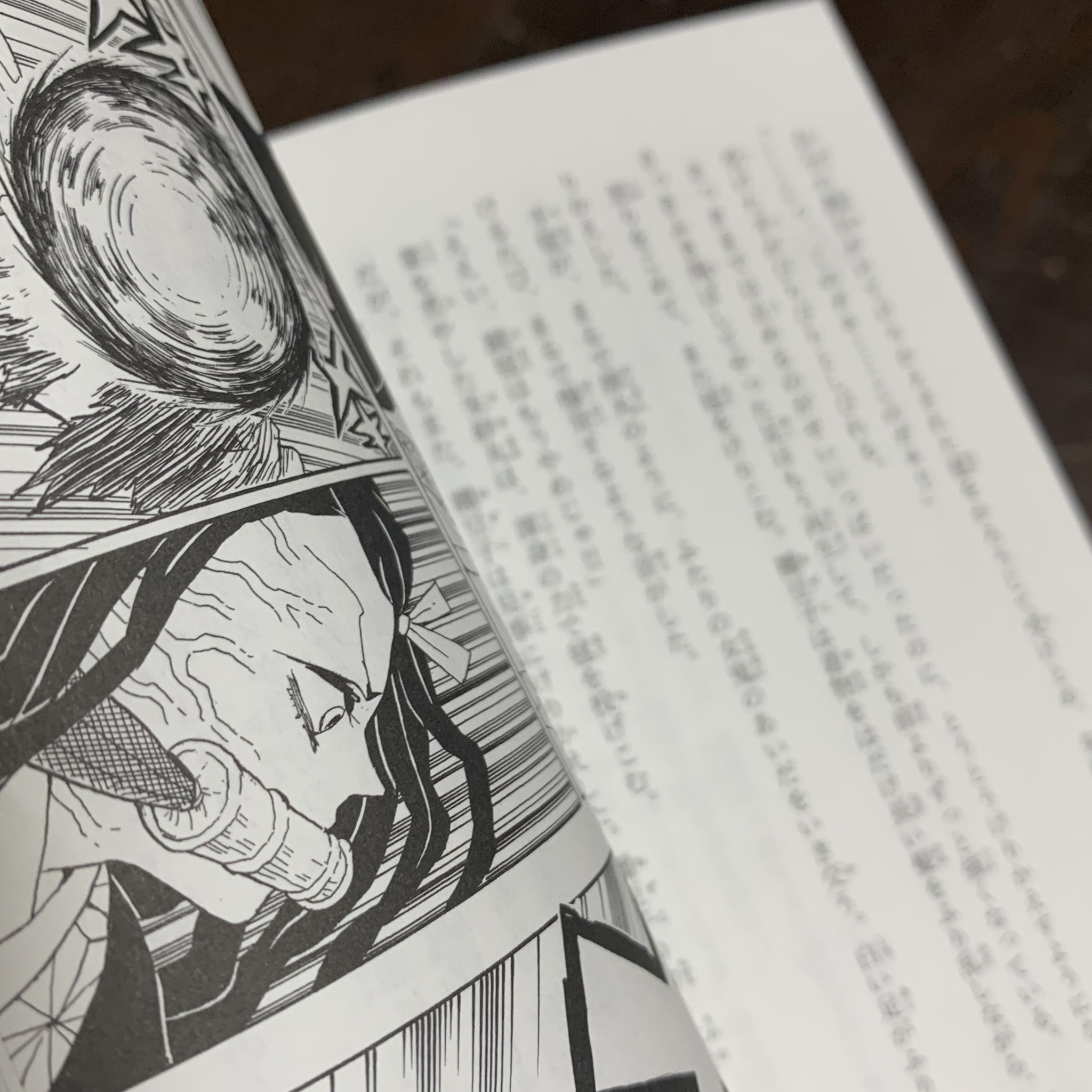 DEMON SLAYER NOVEL (Japanese) - JPT EUROPE LTD T/A JP BOOKS