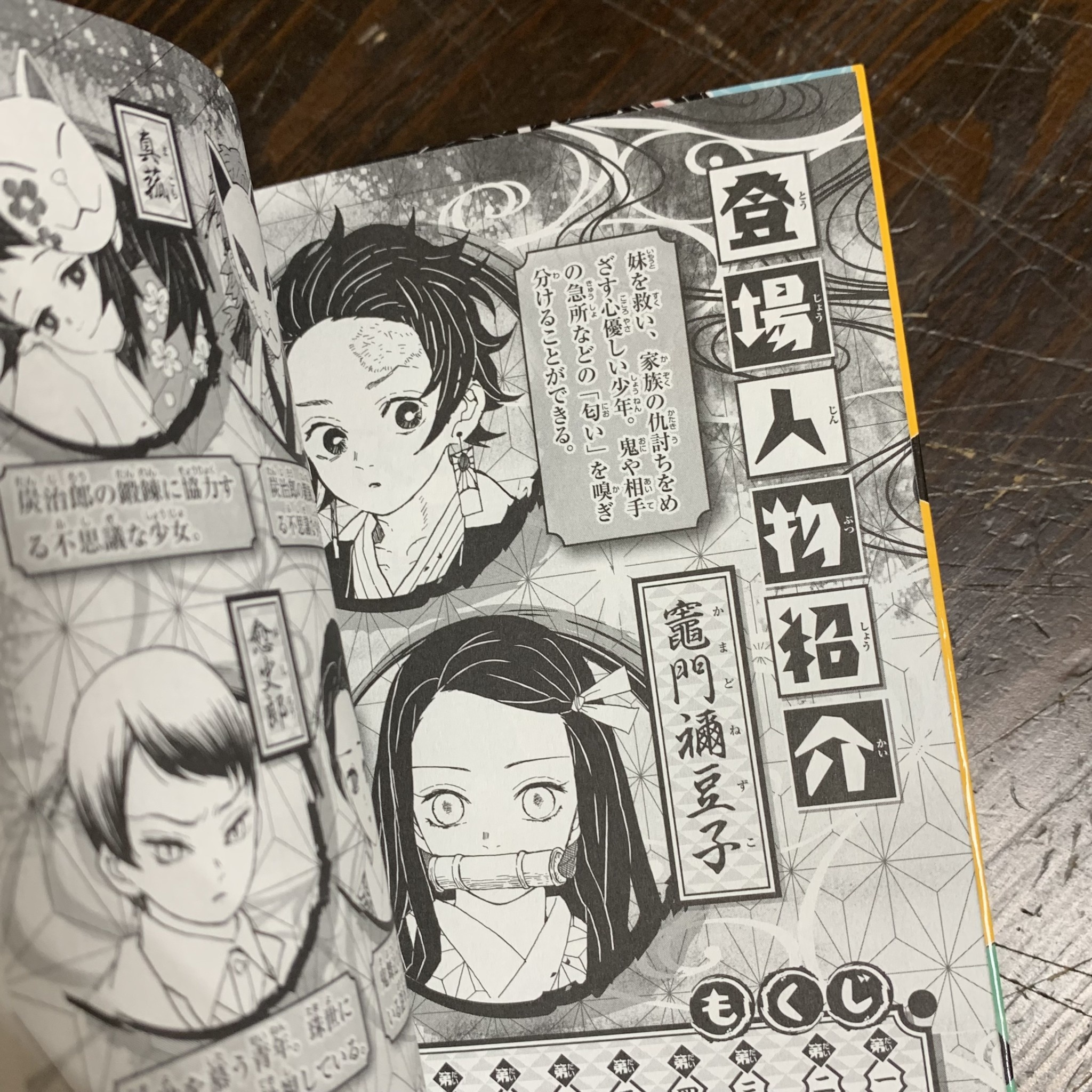 DEMON SLAYER NOVEL (Japanese) - JPT EUROPE LTD T/A JP BOOKS