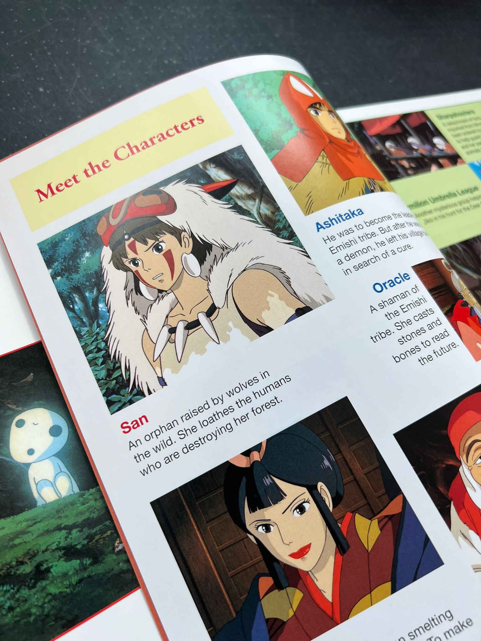 Princess Mononoke Picture Book (English) - JPT EUROPE LTD T/A JP BOOKS