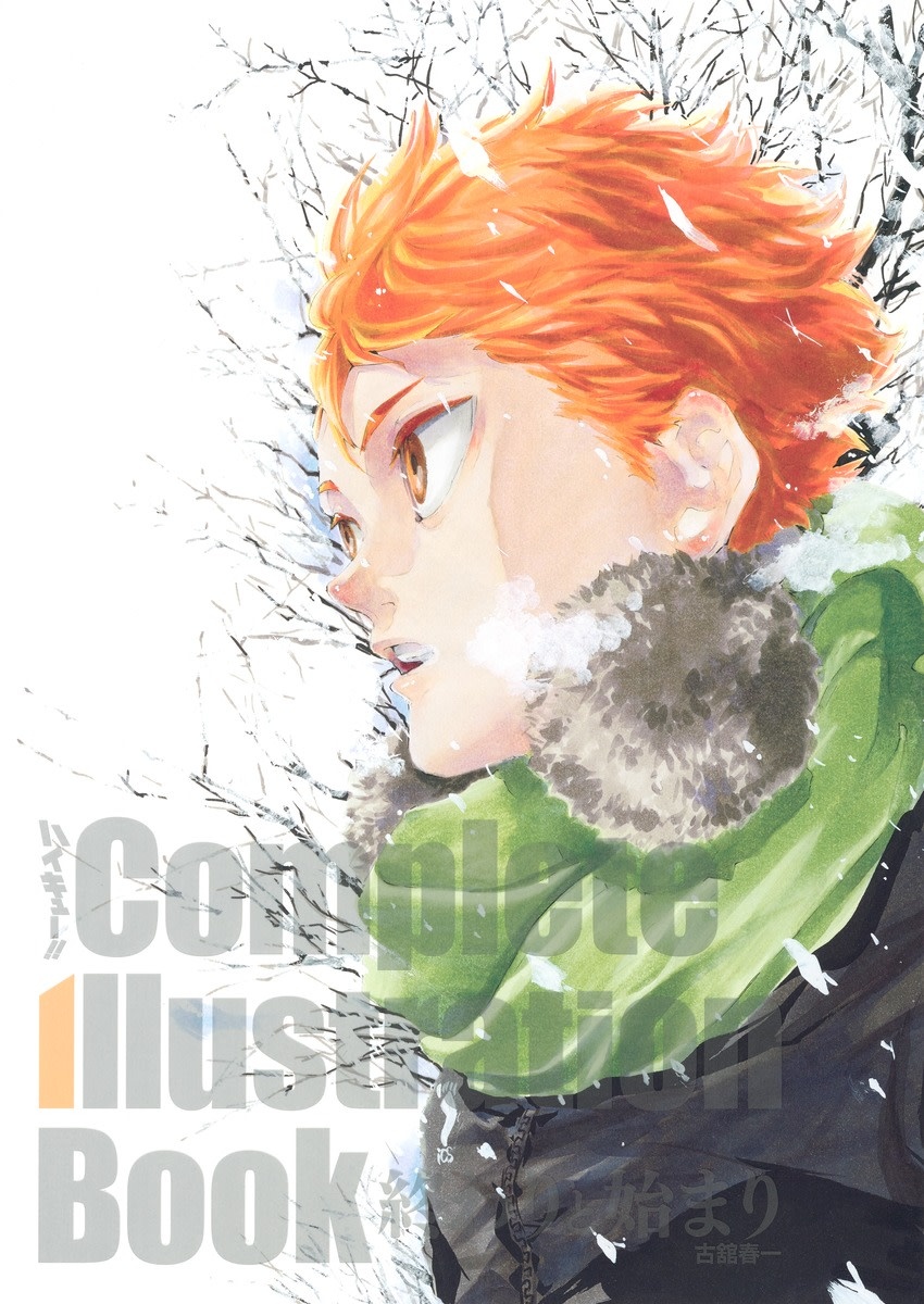 Haikyuu!! Complete Illustrations - JPT EUROPE LTD T/A JP BOOKS