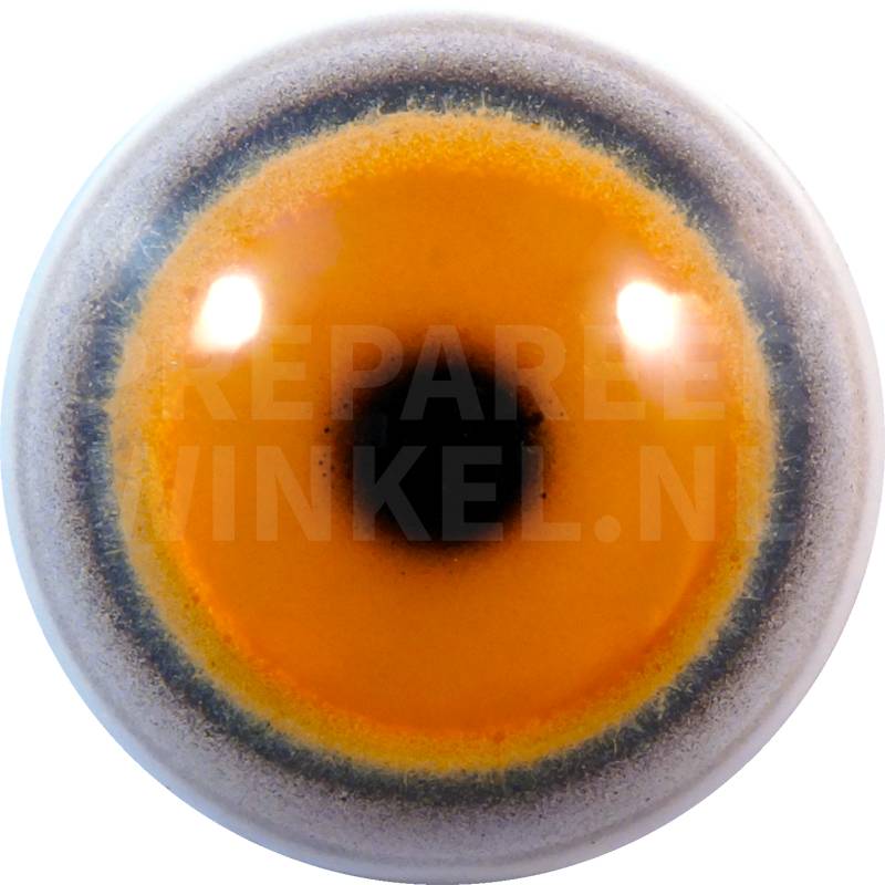 Rode vari (Varecia rubra) - Prepareerwinkel.nl