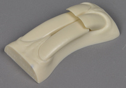 Beaver front teeth (Castor fiber) - Prepareerwinkel.nl