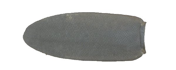 Bever staart - Prepareerwinkel.nl