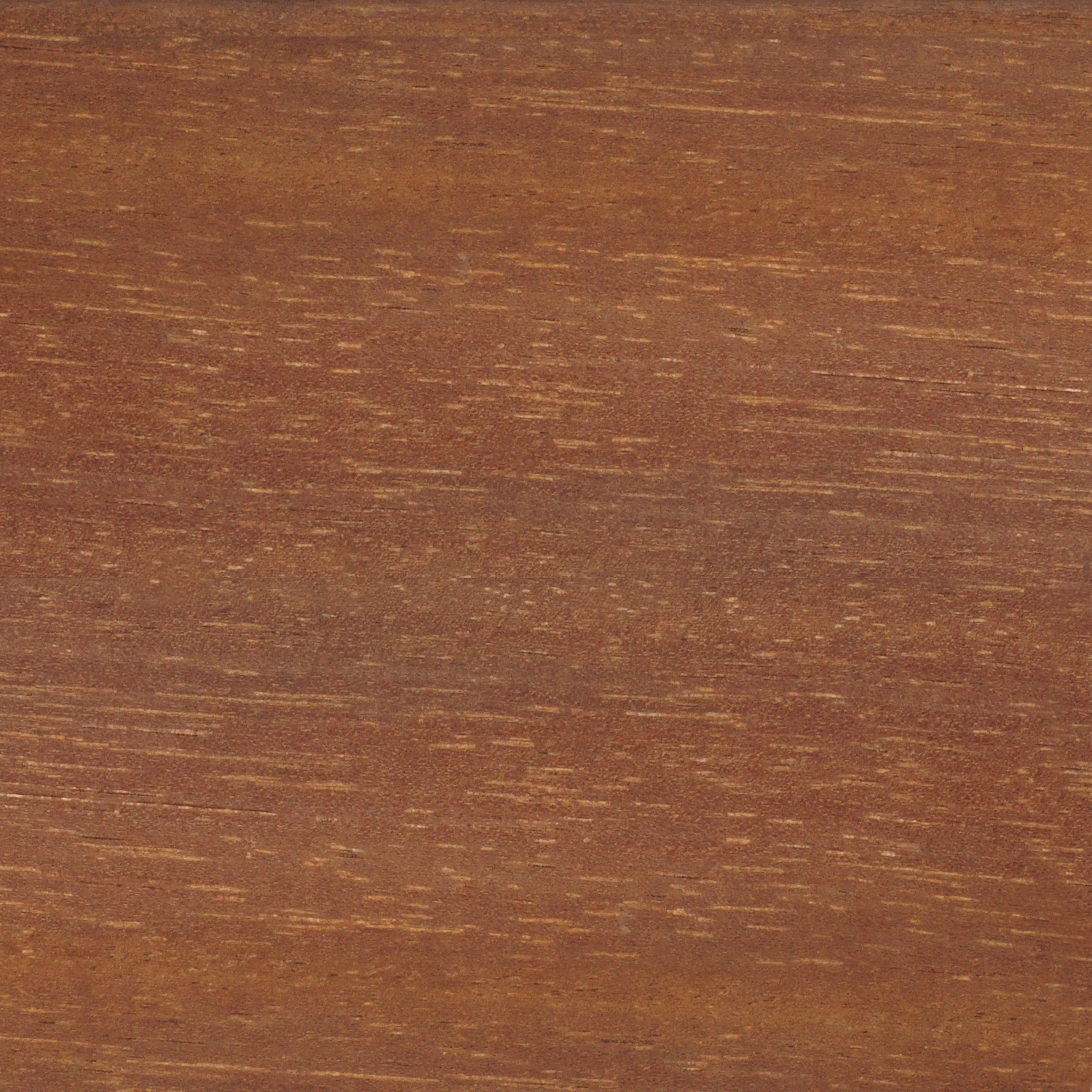 Azobe hout (tropisch hardhout) - Oersterk, duurzaam & water bestendig!