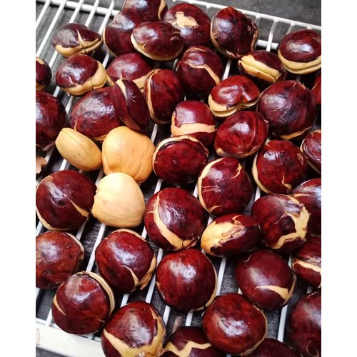 Fresh Veg & Fruit - Thai Food Direct