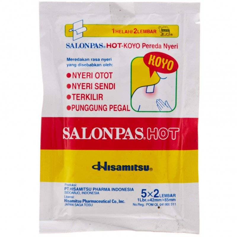 Hisamitsu Salon pass Hot, 12pcs - Tjin's Toko