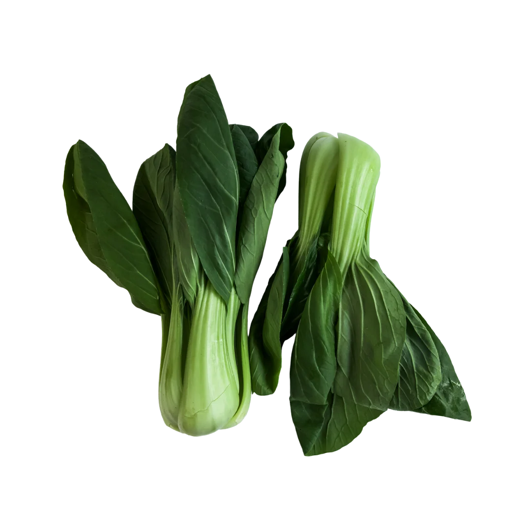 Shanghai Pak Choi - Tjin's Toko