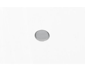 Carburetor screen - "Your Large-Scale Superstore"