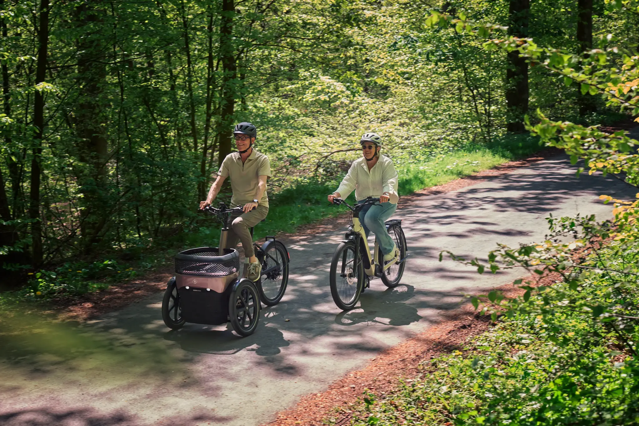 Van Raam Thuja adult tricycle