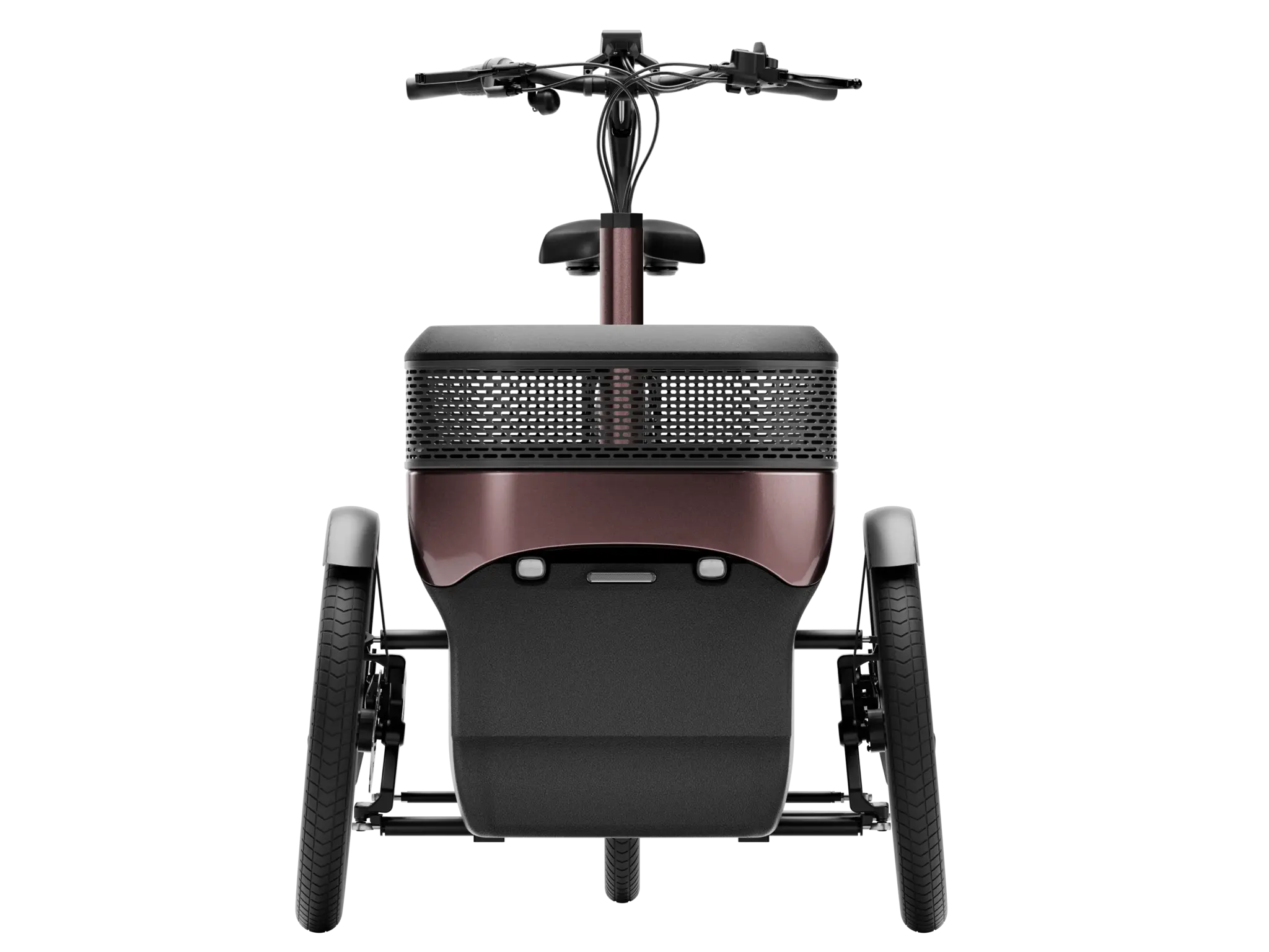 Van Raam Thuja adult tricycle