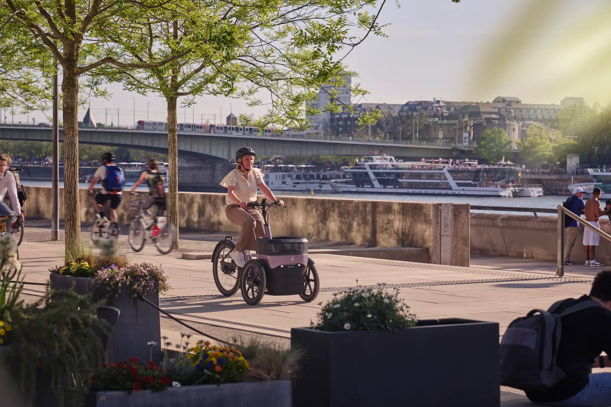 Van Raam Thuja adult tricycle