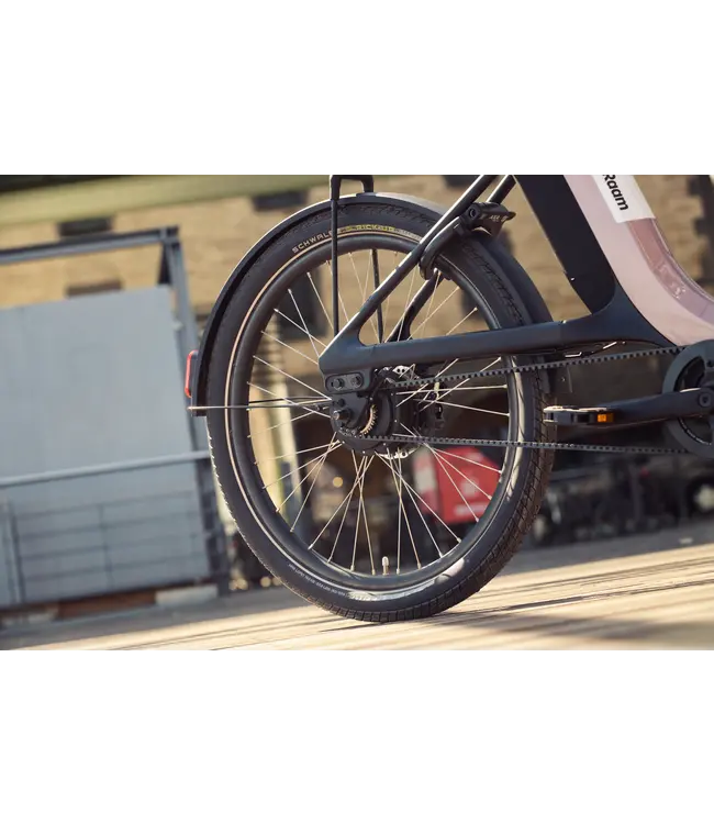 Van Raam Thuja adult tricycle