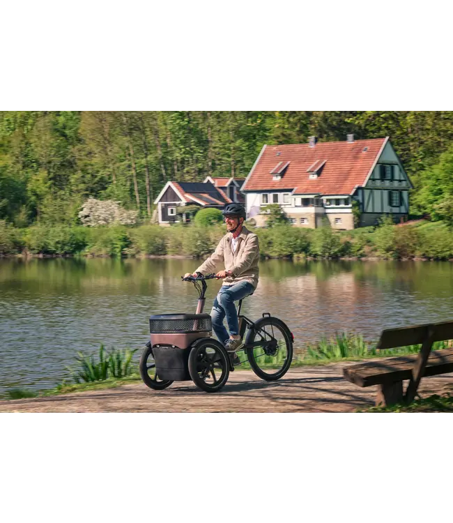 Van Raam Thuja adult tricycle