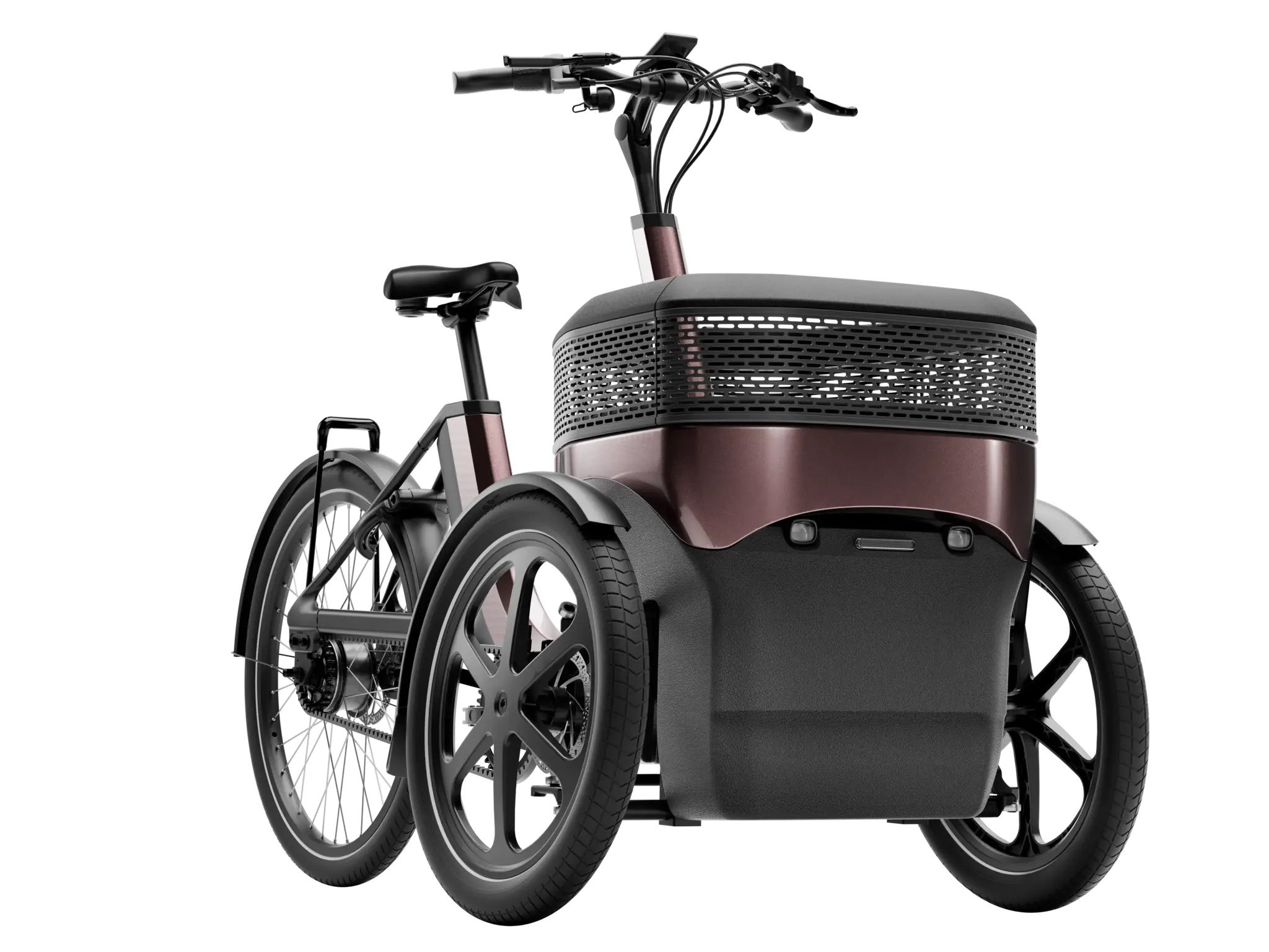 Van Raam Thuja adult tricycle
