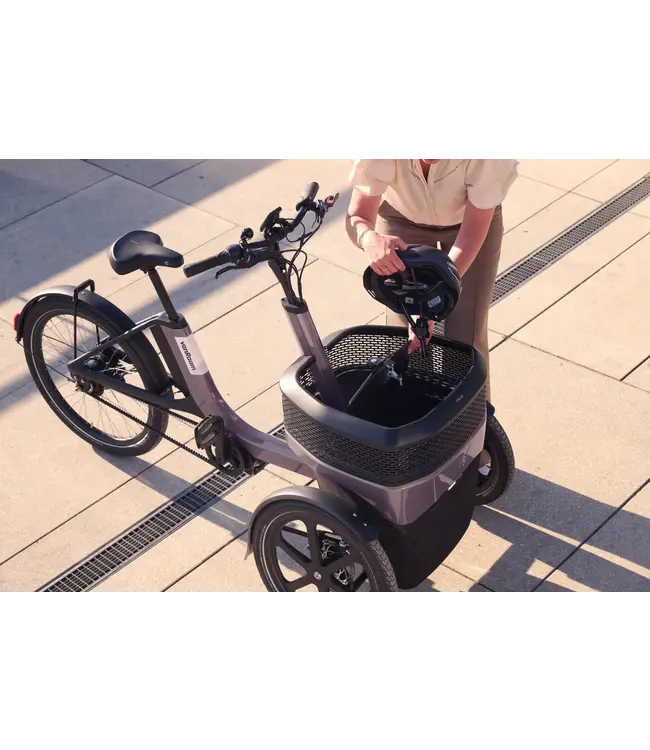 Van Raam Thuja adult tricycle