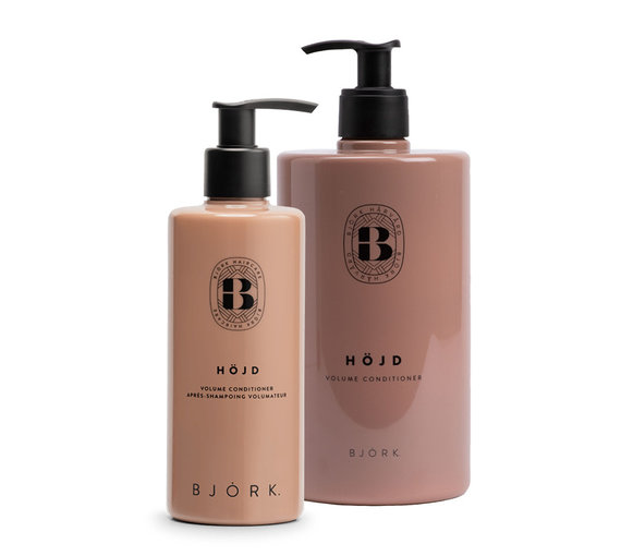 Bjork - Koos van der Beek