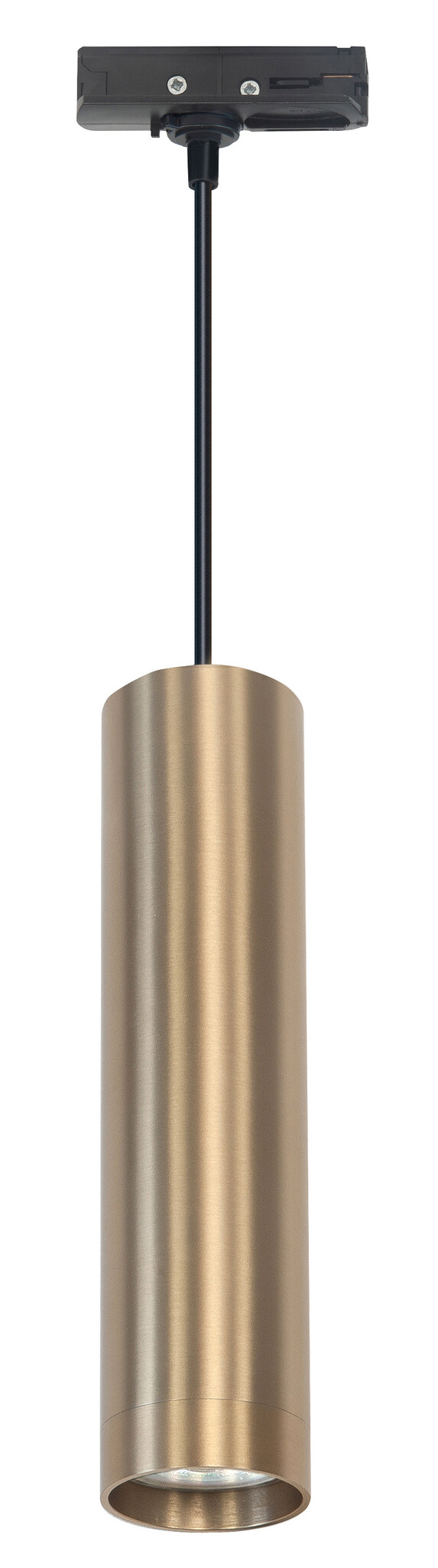 1 Phase track Pendant lamp Perugia GU10 Matte gold - R&M Lighting