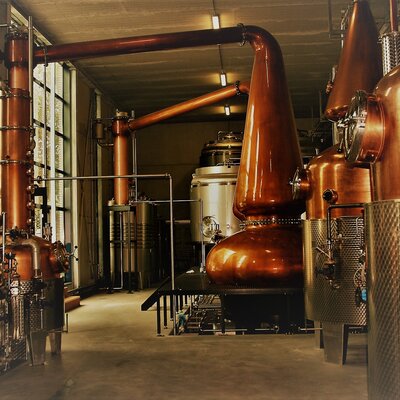 Wijnhuis Bodde Bennebroek - Wijnhuis Bodde