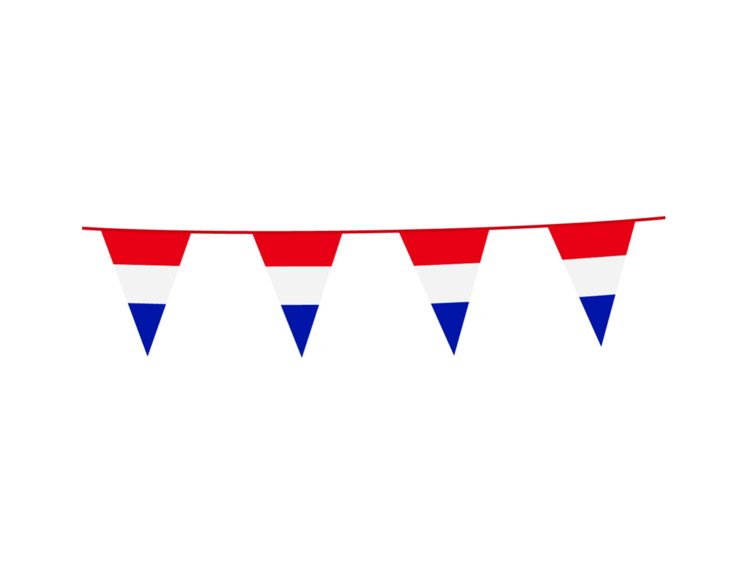 Slingers Nederland 10m - Partywinkel