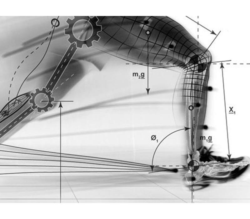 Biomechanical Analysis