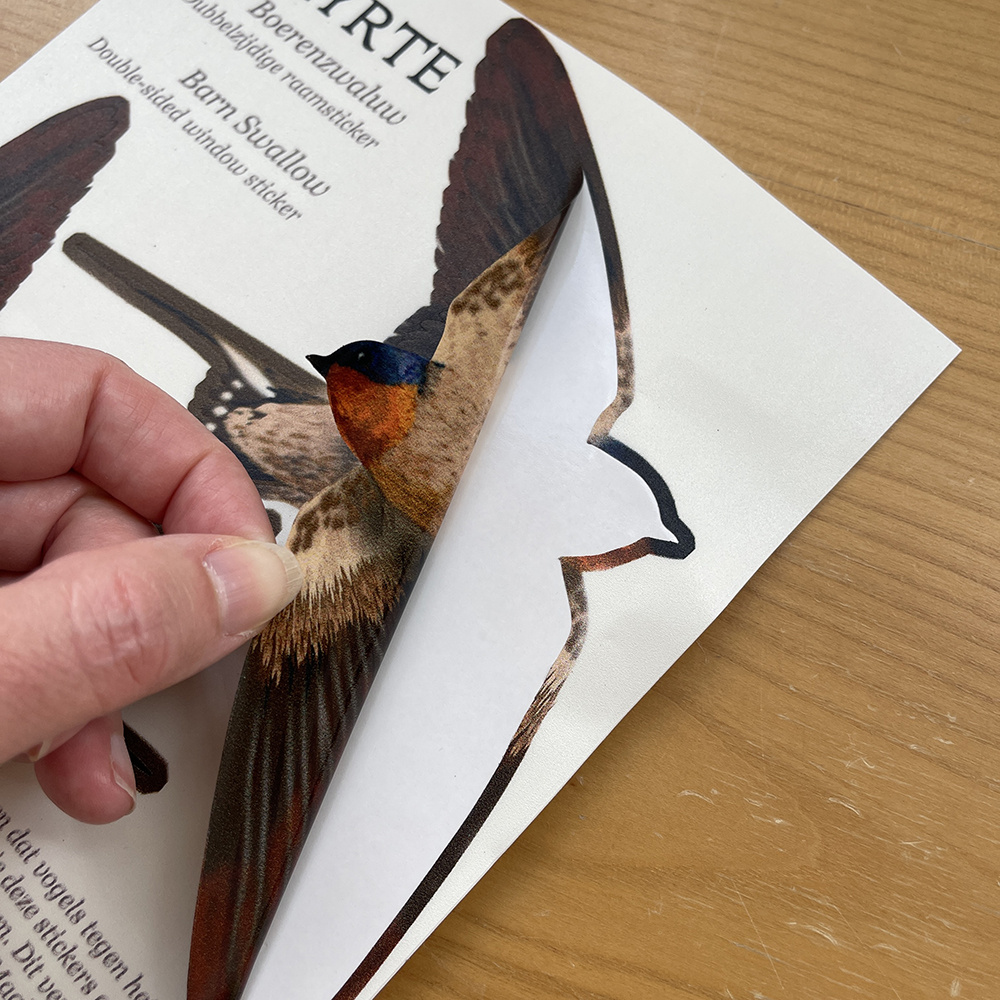 Barn Swallow Double Sided Window Sticker | Myrte | BijzonderMOOI ...