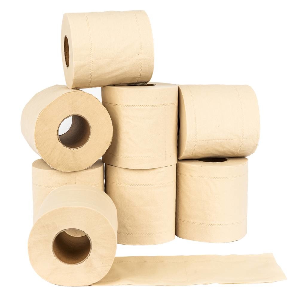 Pandoo bamboo toilet paper - 96 rolls - Grace is Green