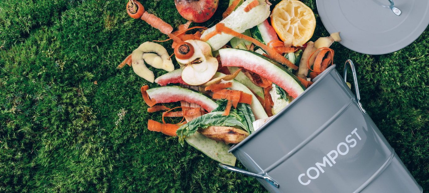 Grace is Green - 8 Tips for Keeping Your Organic Waste Bin Fresh and ...