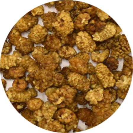 Moerbeien Kopen - Gedroogde Moerbeien - Vitabron