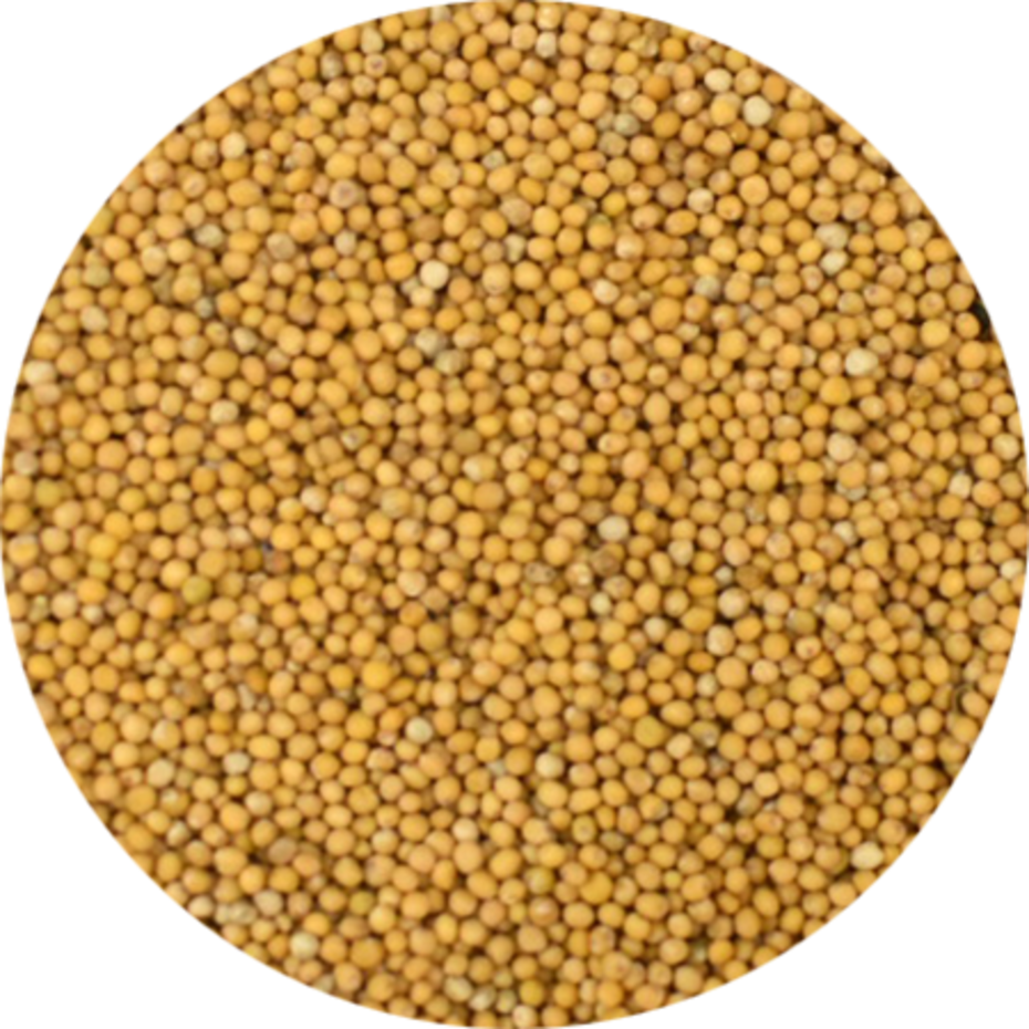 Vitabron Mosterdzaad Geel | Kruiden en Specerijen - Vitabron