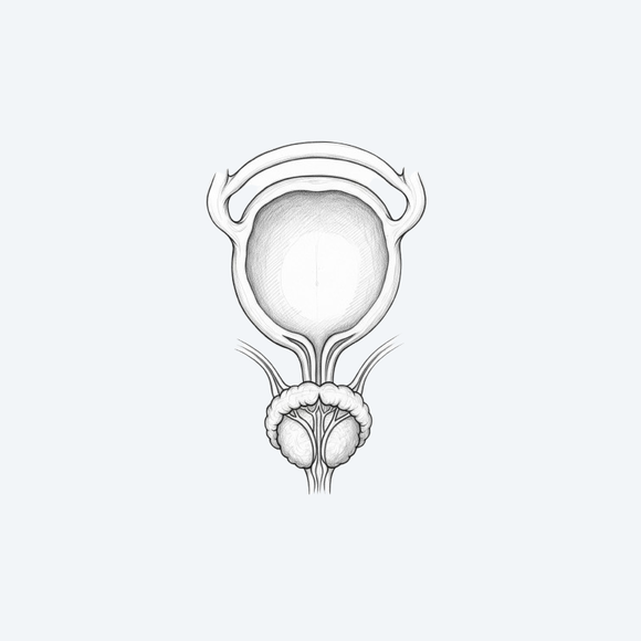 Gezonde natuurvoeding & supplementen - Vitabron