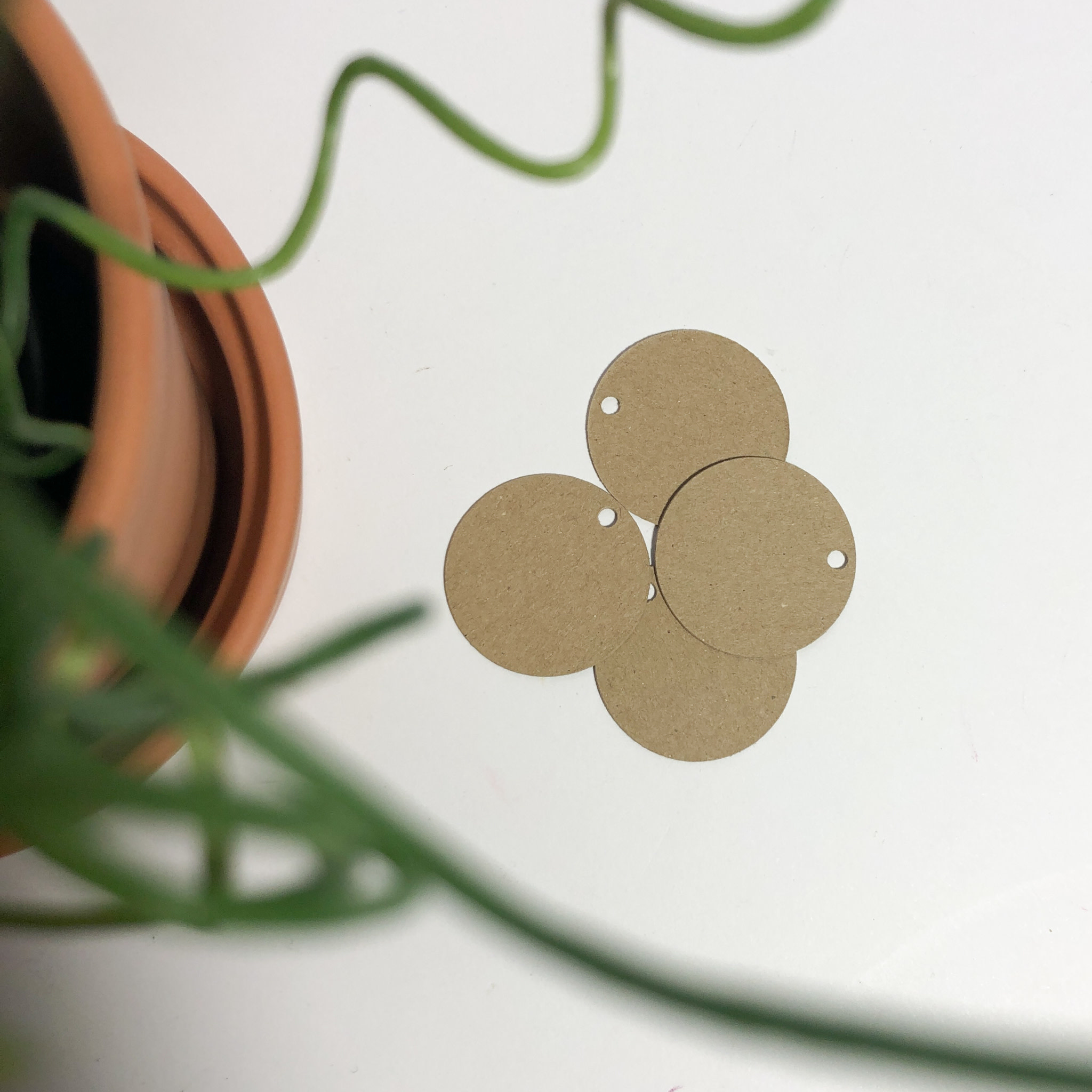 Label muskat - FestLab