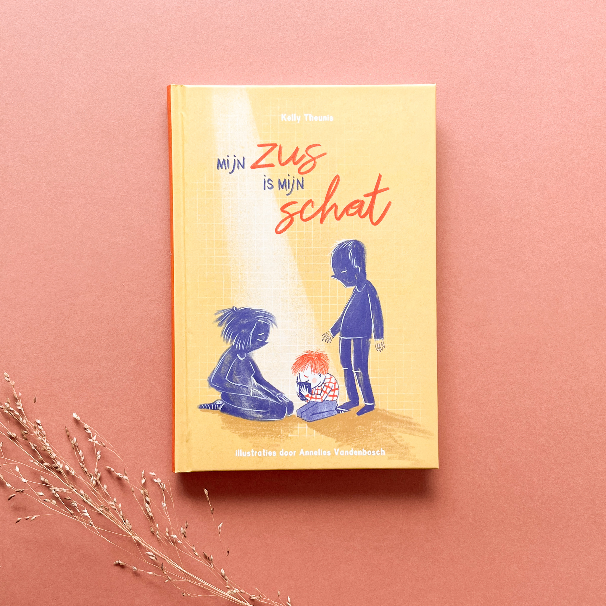 BOEK Mijn zus is mijn schat - FestLab