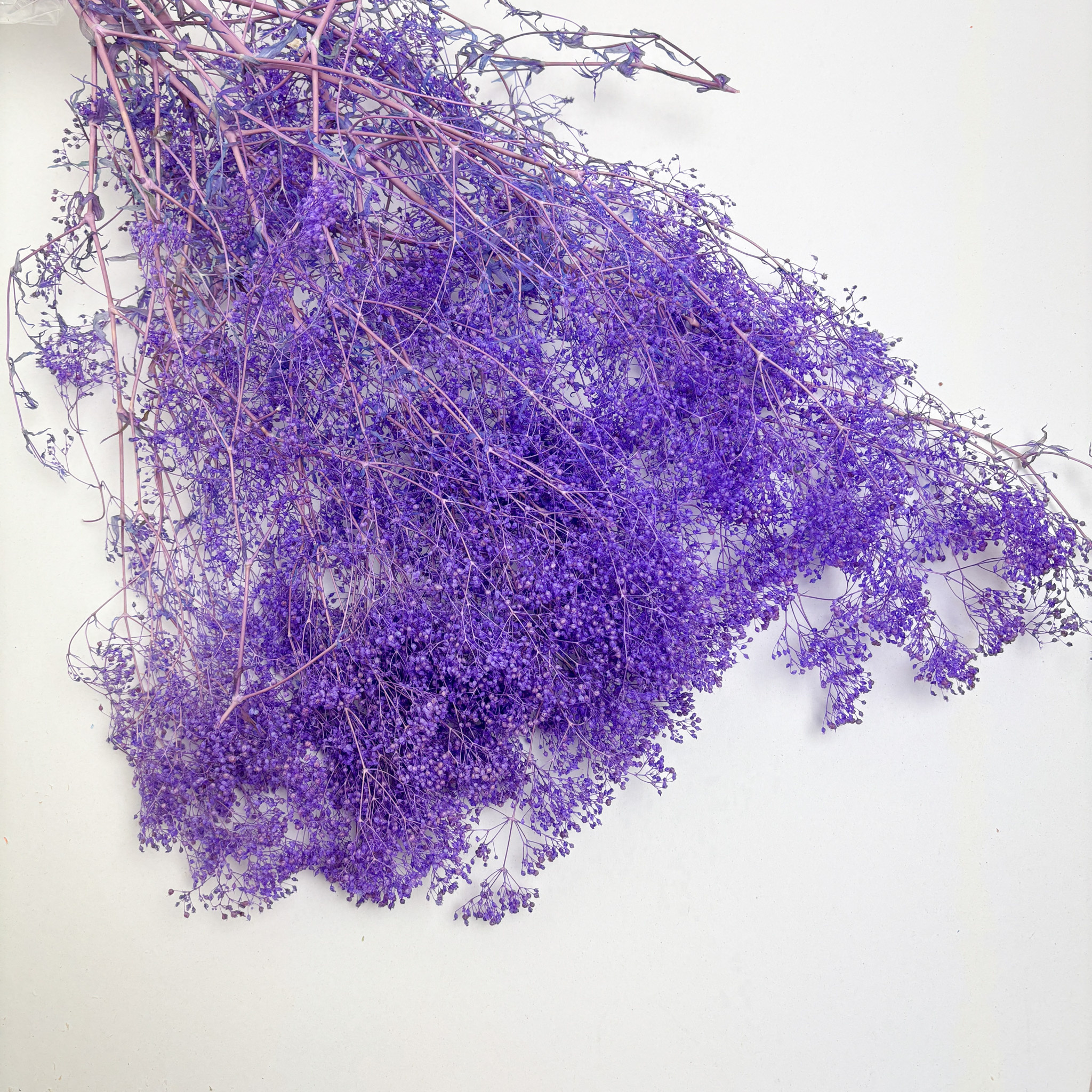 Droogbloemen voor jouw doopsuiker DIY - Gipskruid mini lila - FestLab