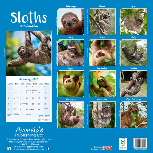 Buy Sloth - Sloths Calendar 2025 | simply order online - Kalenderwinkel.nl