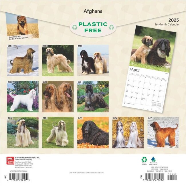 Afghan Hound calendar 2025 | Order online easily - Kalenderwinkel.nl