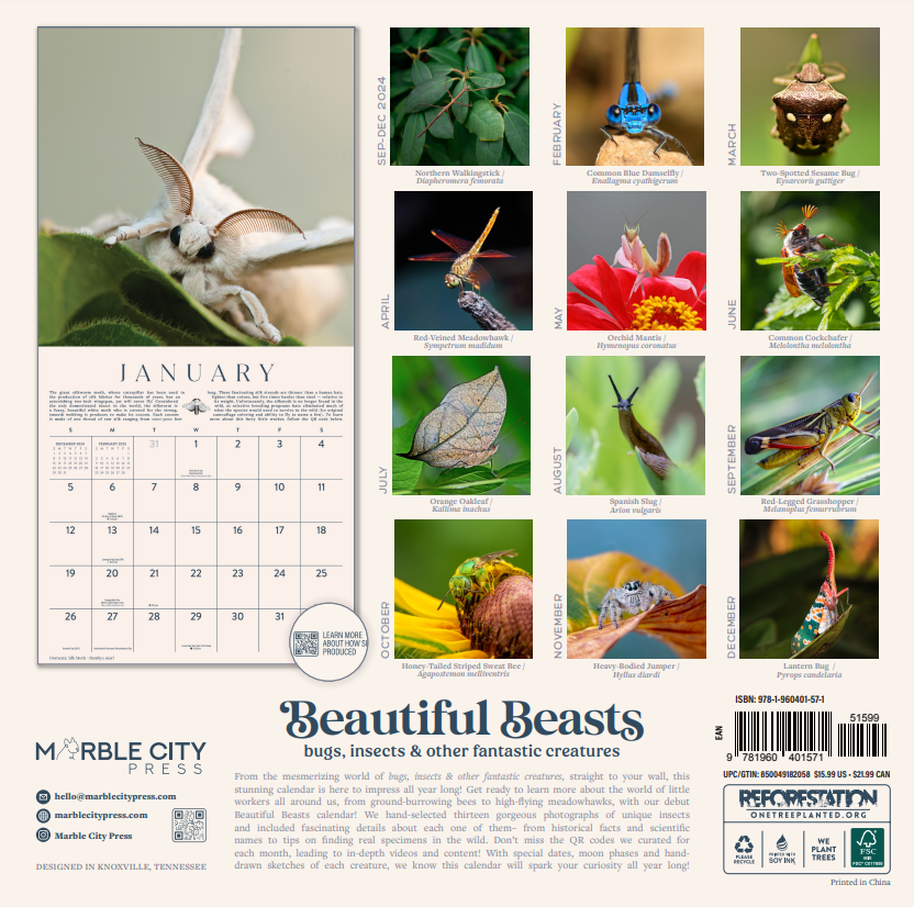 Beautiful Beasts Calendar 2025? Order easily and quickly Online ...