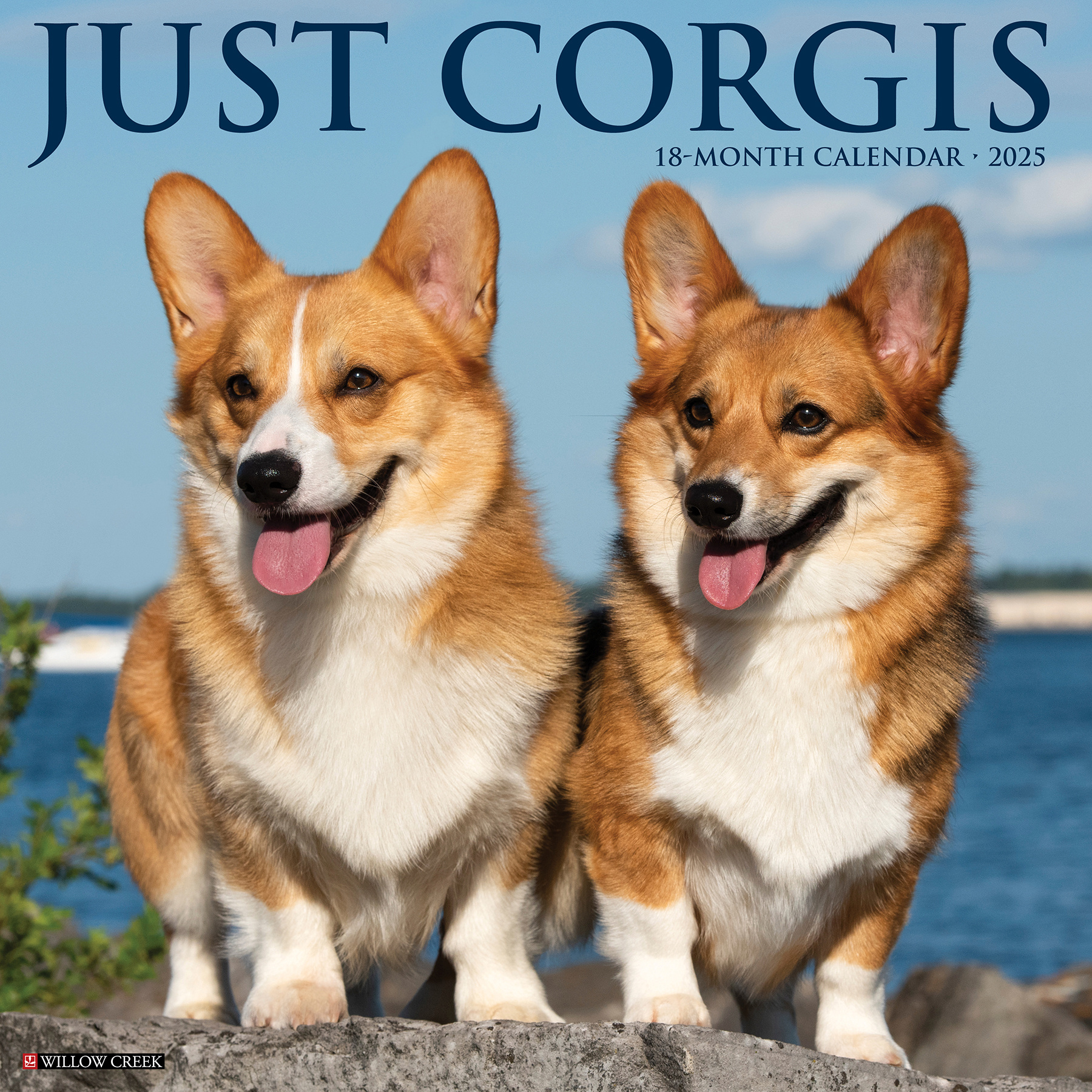 Welshe Corgi Paw Print Genetics Pembroke Welsh Corgi Early Onset