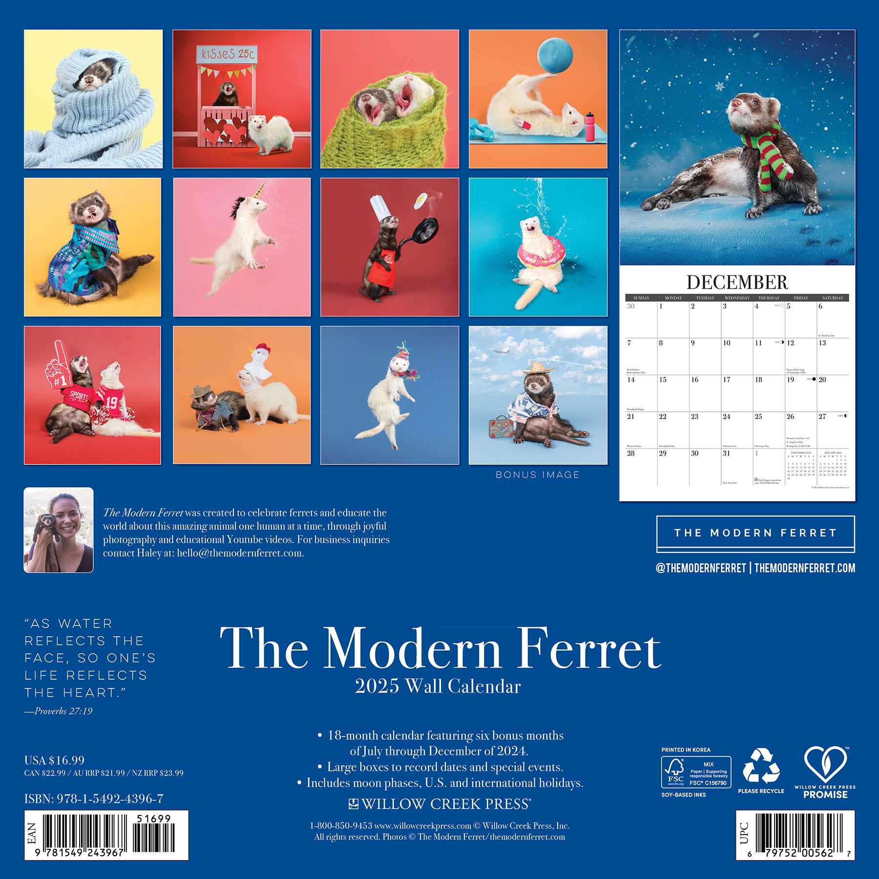 ¿Comprar el Calendario del hurón moderno 2025? Haga su pedido en línea ...