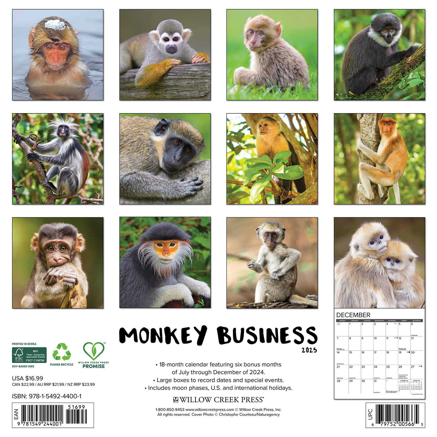 Acheter Monkey Business Calendar 2025 ? Commander en ligne rapidement ...