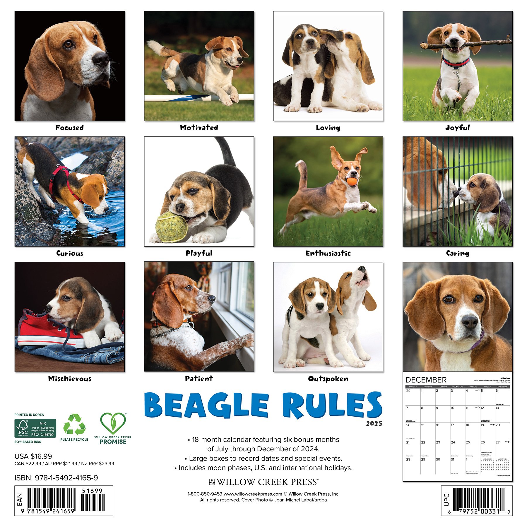 Comprar Beagle Rules Calendario 2025 | Orden fácilmente en línea ...