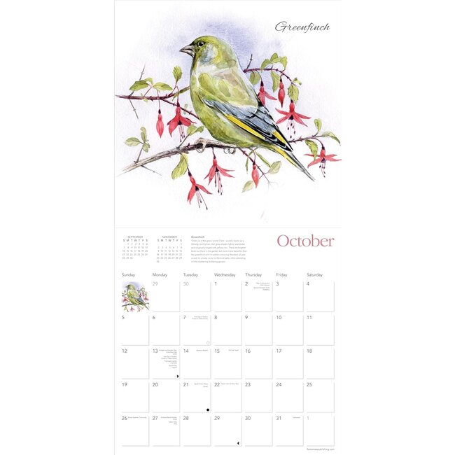 Buying Garden Birds Calendar 2025? Quick and easy online ...