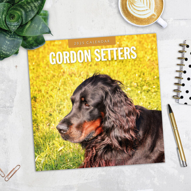 Buying Gordon Setter Calendar 2025? Easily and quickly ordered online ...