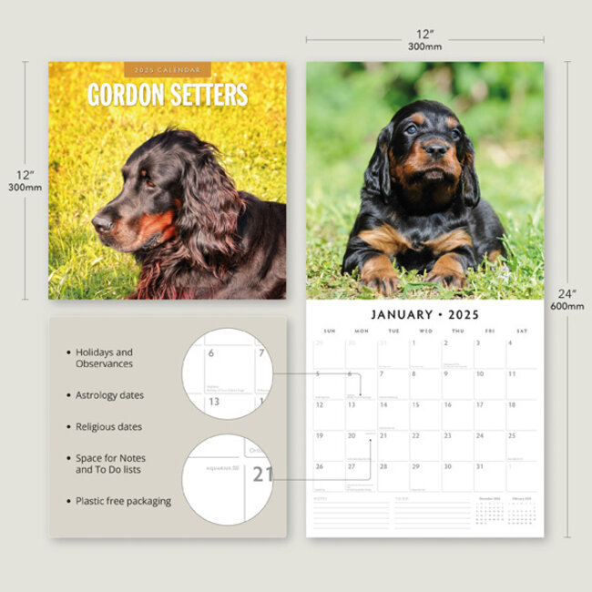 Buying Gordon Setter Calendar 2025? Easily and quickly ordered online ...