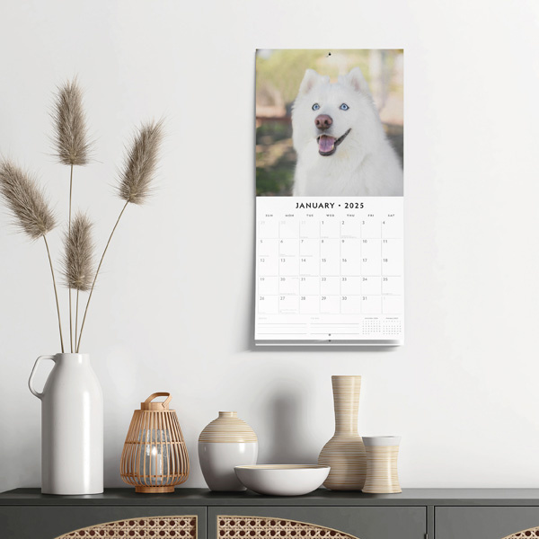 Buying Samoyed Calendar 2025? Easily and quickly ordered online ...
