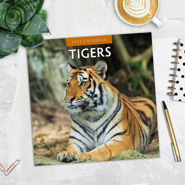 Buying Tiger Calendar 2025? Quick and easy online - Kalenderwinkel.nl