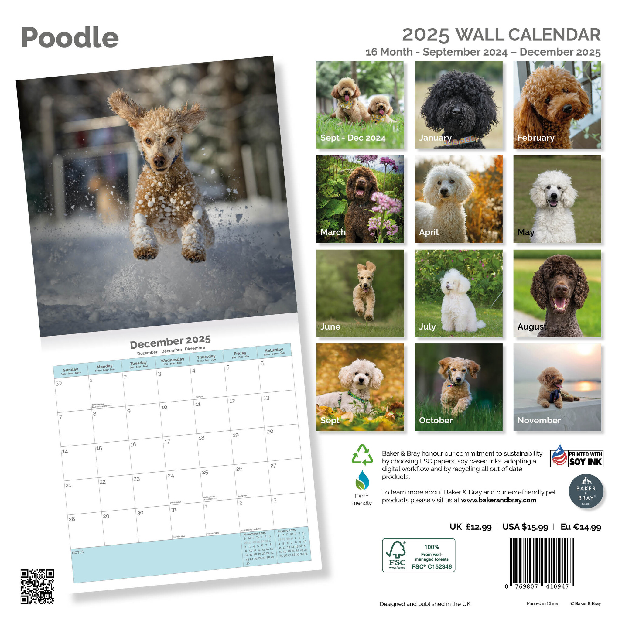 Buy Poodle Calendar 2025 | Order easily online - Kalenderwinkel.nl