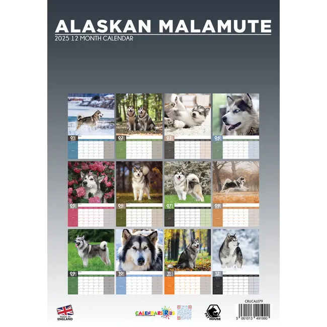 Buy Alaskan Malamute A3 Calendar 2025? Order simple and fast ...